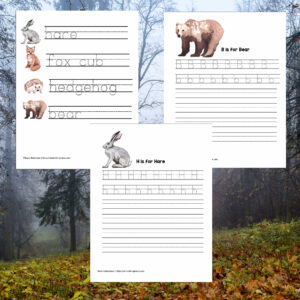 Forest Animal Activities for Preschoolers - Simple Living Mama