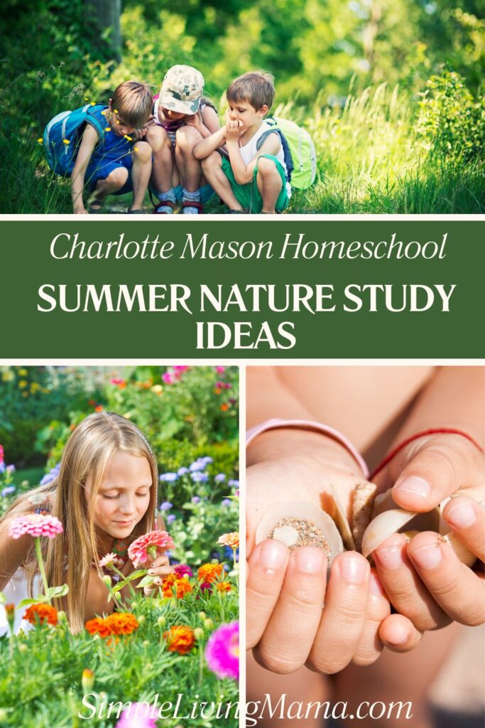 Summer Nature Study Ideas - Simple Living Mama
